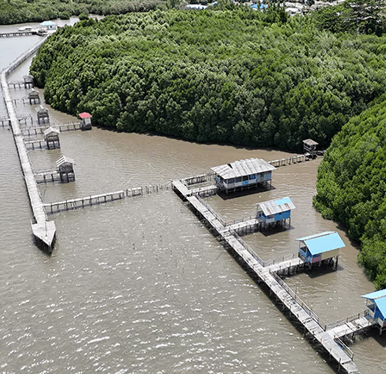 5 innovations helping the world adapt to climate change