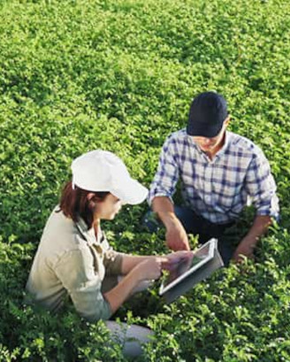 ADSW | About Abu Dhabi Sustainability Week