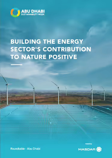 Building the energy sector’s contribution to nature-positive